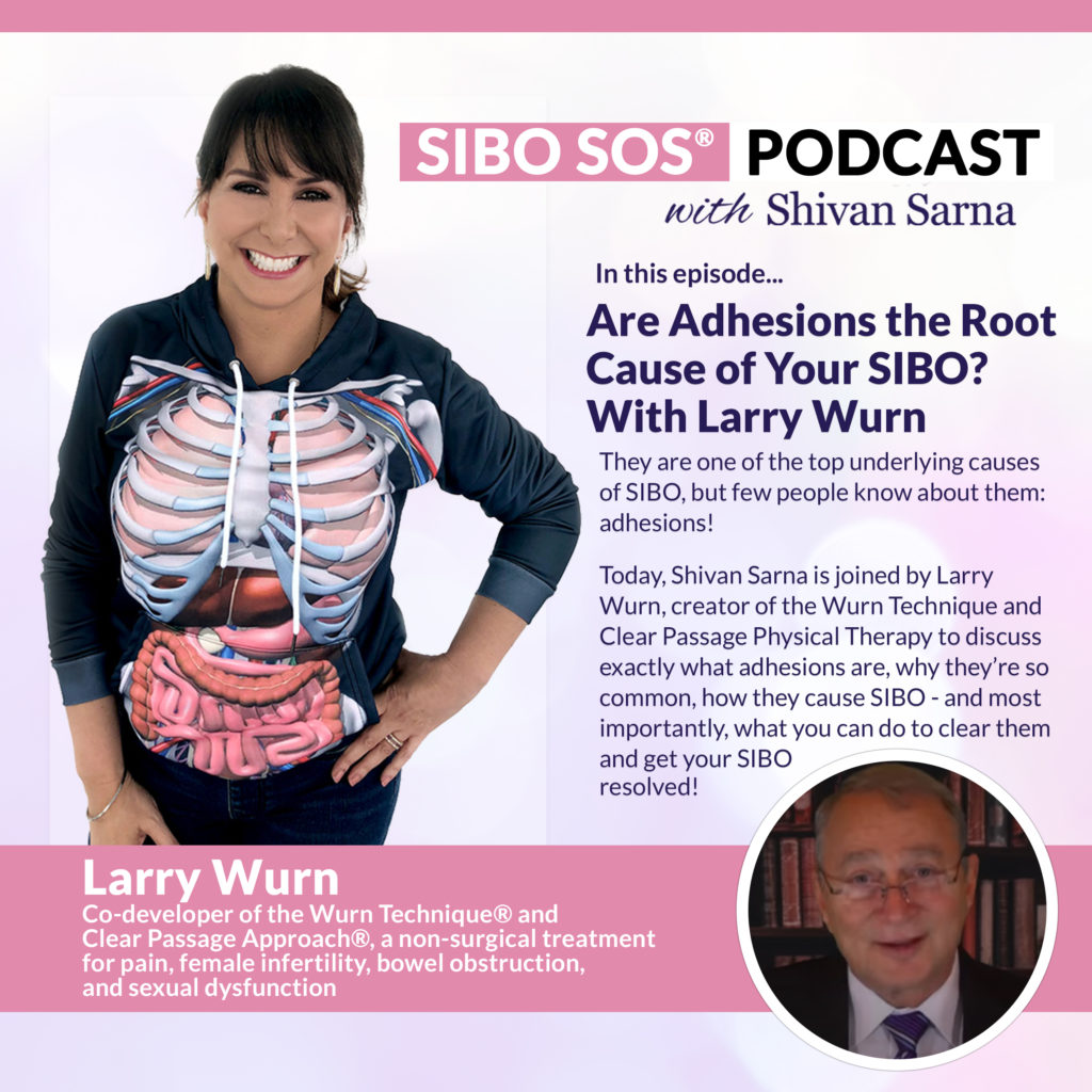 Are Adhesions the Root Cause of Your SIBO? With Larry Wurn