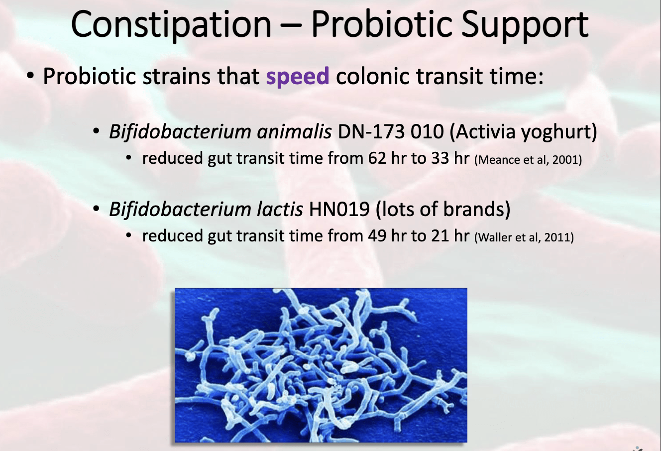 The Constipation & Elemental Diet Masterclass Bundle